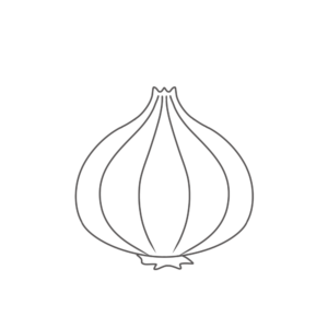 たまねぎ|イラスト